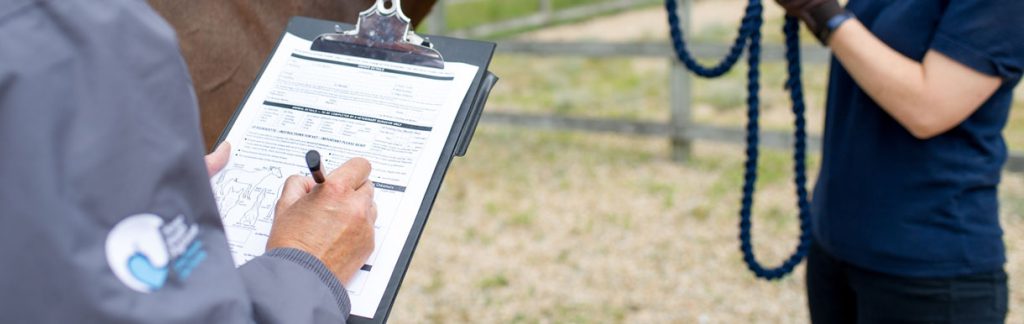 Equine passports | Animed Veterinary Group